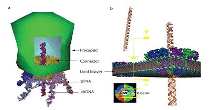 Bio-IT Convergence Lab